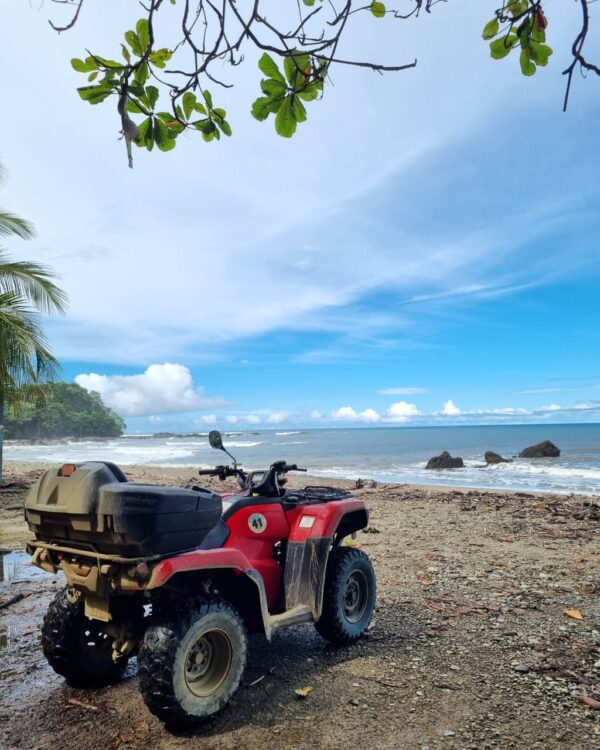 Exploring Cabo Blanco Absolute Nature Reserve – Trails & Wildlife ...